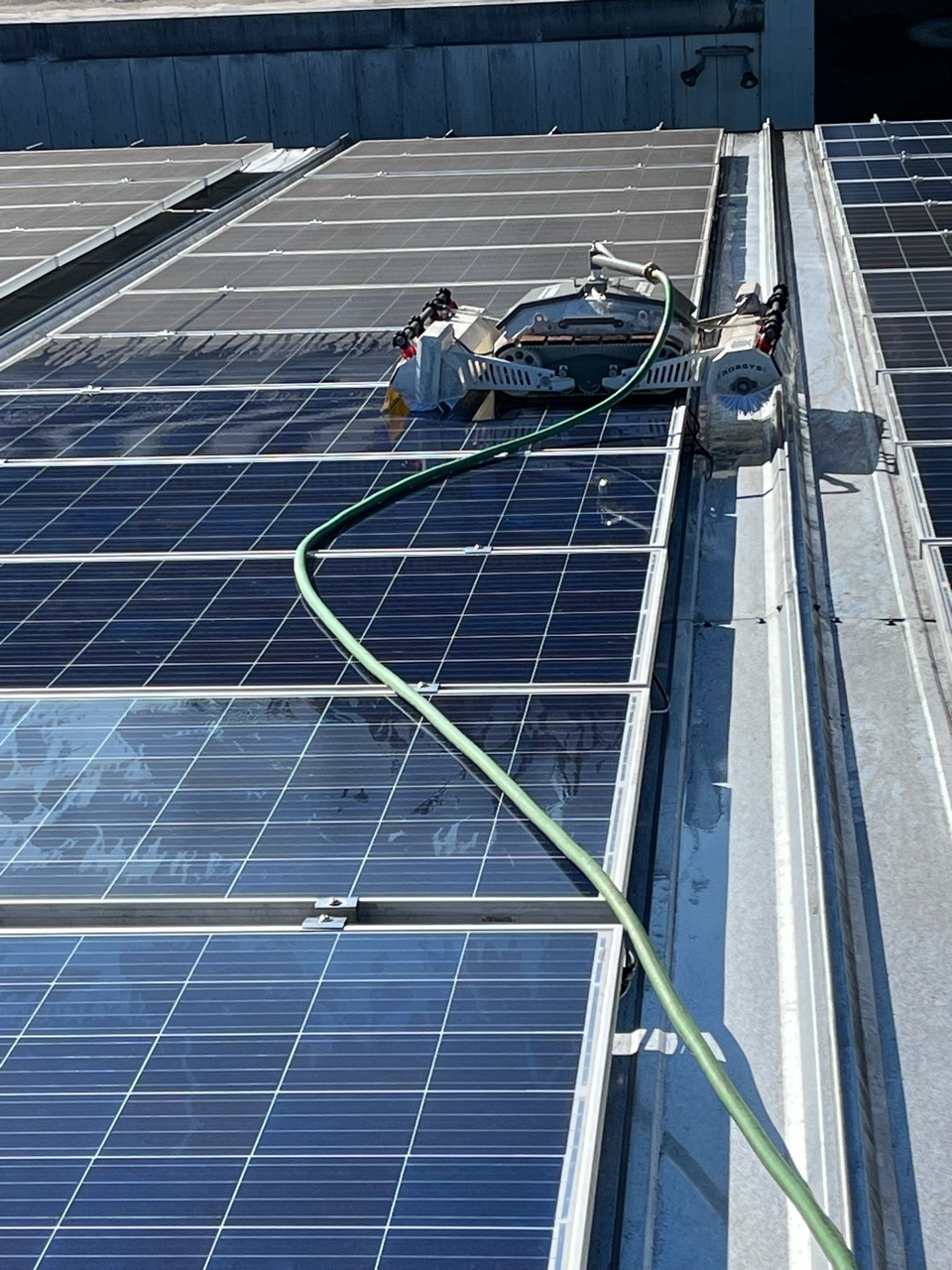 Professional Solar Panel Cleaning and Vegetation Management in ...